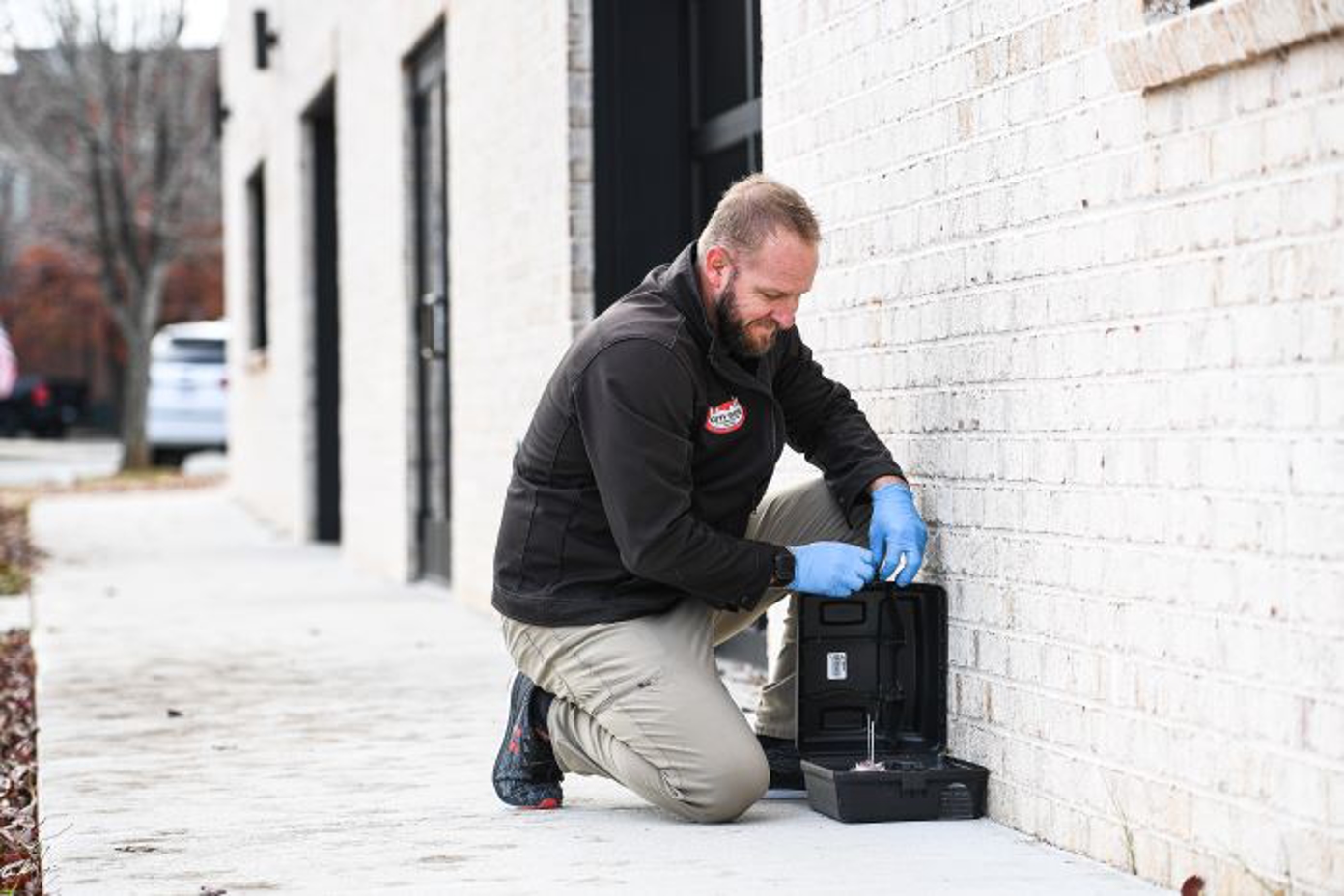 Commercial Work | City Wide Exterminating